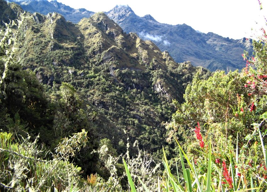 Inca Trail, Machu Picchu - what to see and do - Bohemianhag.com