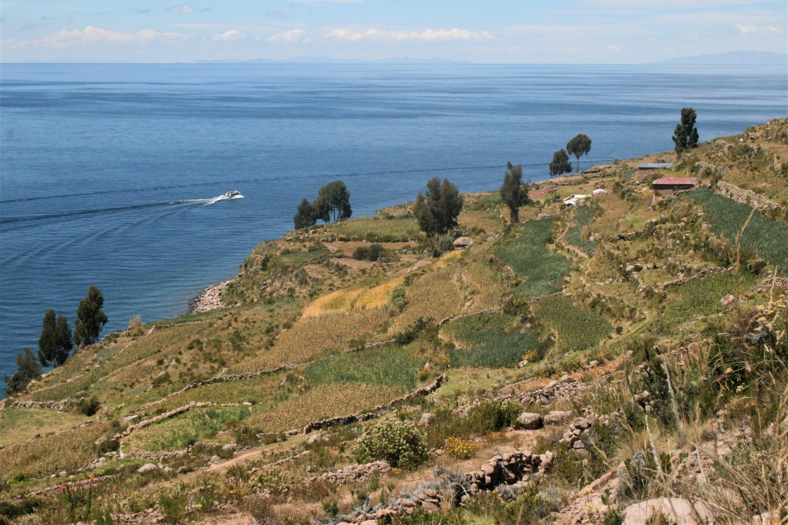 Lake Titicaca - what to see and do - Bohemianhag.com